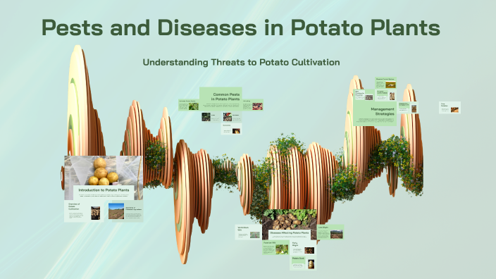 Pests and Diseases in Potato Plants by Cucu Yvain on Prezi