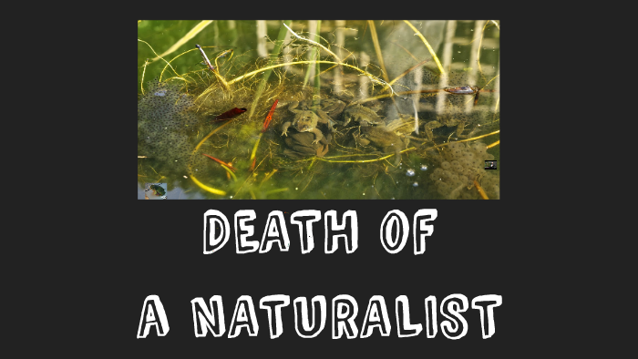 Death of a Naturalist by Danielle Greest on Prezi