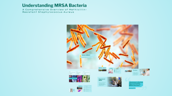 Understanding MRSA Bacteria by Malek Essam on Prezi