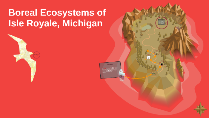 Boreal Ecosystems of Isle Royale by Kevin Little on Prezi