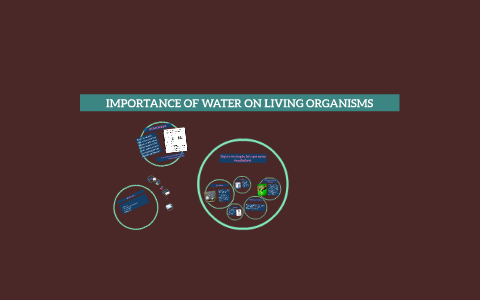 Importance of Water in Living Organisms by Katrina Holmquist on Prezi