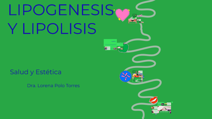 LIPOGENESIS Y LIPOLISIS by lorena polo torres on Prezi
