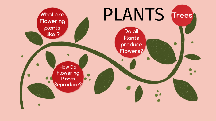 Unit-4 Plants by Ruth Gómez Morales on Prezi