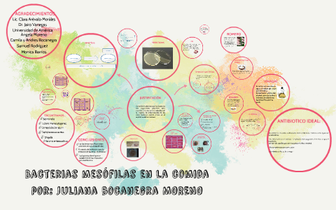 Bacterias mesofilas en la comida by Juliana Bocanegra Moreno on Prezi
