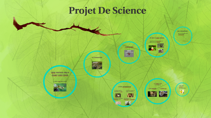 Projet De Science! by Nick B on Prezi