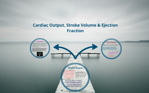 Cardiac Output, Stroke Volume & Ejection Fraction by Crystal English on ...
