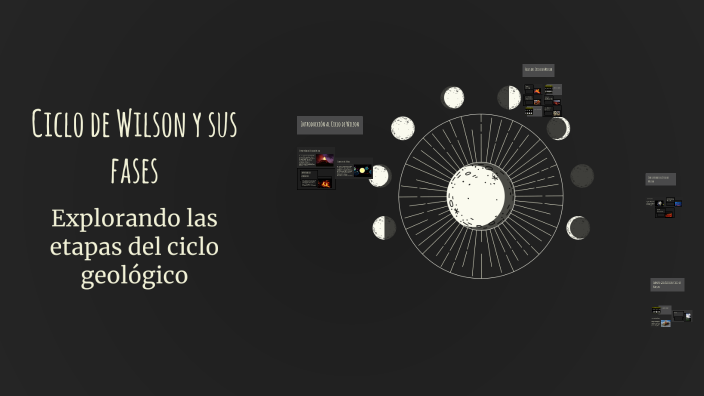 Ciclo de Wilson y sus fases by Salome Arbeláez on Prezi