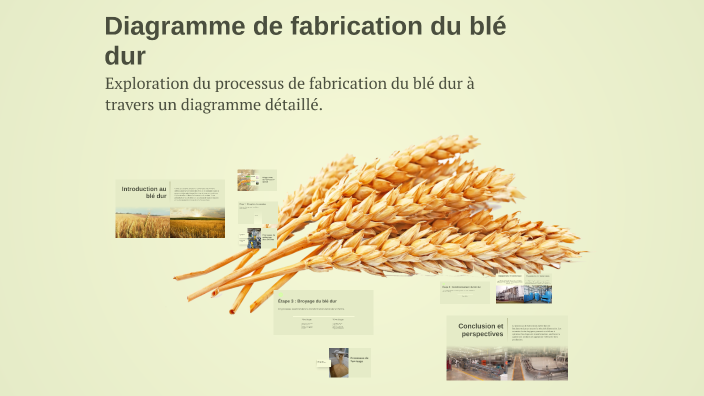 Diagramme de fabrication du blé dur by Selma malali on Prezi