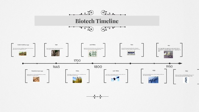 Biotech Timeline by Lauren Munno on Prezi