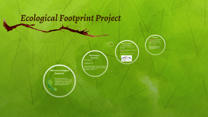 Ecological Footprint Project by Hannah G on Prezi