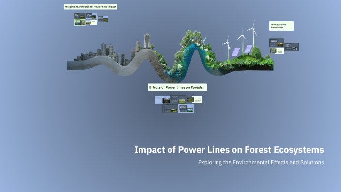 Impact of Power Lines on Forest Ecosystems by Basma El Guerouaoui on Prezi