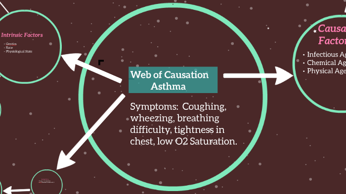 WEb of Causation - Asthma by Diane O'Neil on Prezi