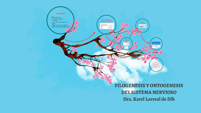 FILOGENESIS Y ONTOGENESIS by KAREL LARREAL DE DIB on Prezi