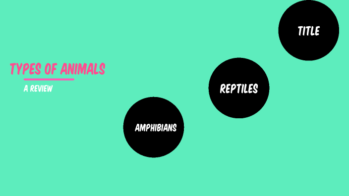 Types Of Animals by Allison Findley on Prezi