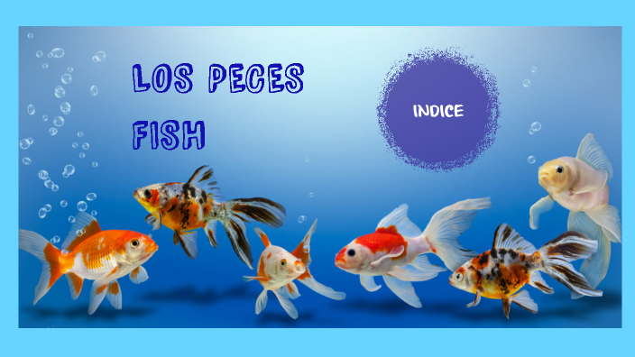 LOS PECES by Laura Perez on Prezi