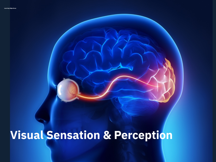 Visual Sensation & Perception by Carly Palermo on Prezi