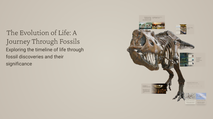 The Evolution of Life: A Journey Through Fossils by ryan oriol on Prezi