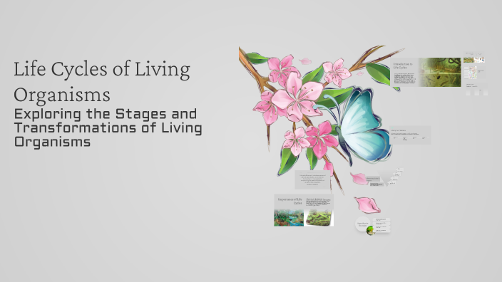 Life Cycles of Living Organisms by Assyifa Diva Frisnadia on Prezi