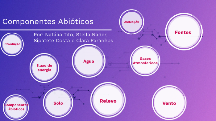 componentes abióticos by natalia tito pereira soares on Prezi