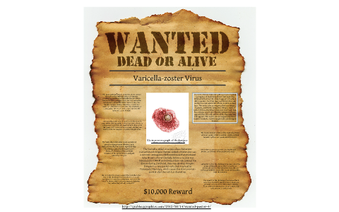 Pathogen Wanted Poster by Alyssa Tolton on Prezi