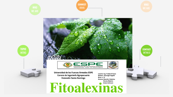 Fitoalexinas by Jefferson Šőlāňô on Prezi