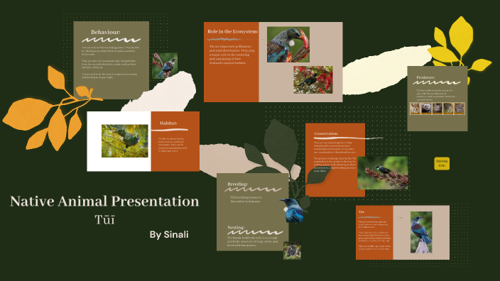 Native Animal Presentation by Sinali YK on Prezi