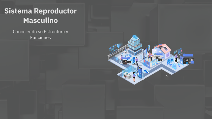 Sistema Reproductor Masculino by Legna de Jesus Rivera on Prezi