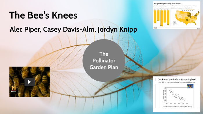 Pollinator Garden 2020 by jordyn knipp on Prezi