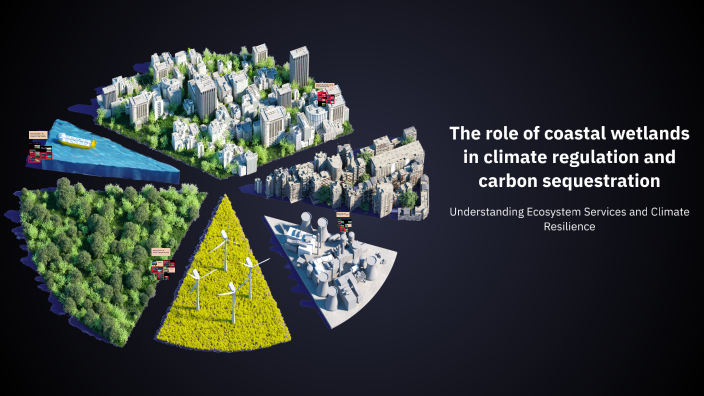 The role of coastal wetlands in climate regulation and carbon ...