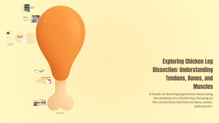 Exploring Chicken Leg Dissection: Understanding Tendons, Bones, and ...