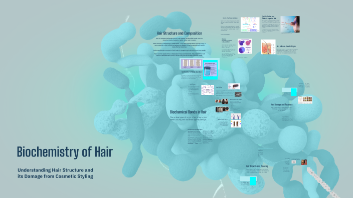 Biochemistry of Hair by Nieca Murphy on Prezi