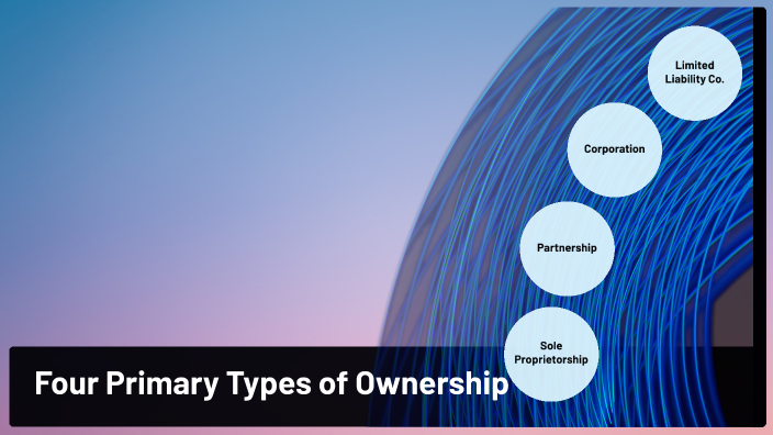 Four Primary Types of Ownership by Jennifer Turner on Prezi