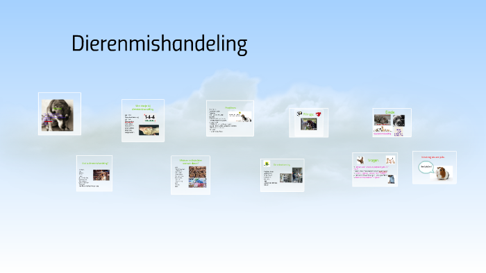 Dierenmishandeling by Elina Bos on Prezi