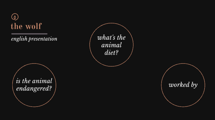 wolf , english presentation by Valbon Bajrami on Prezi