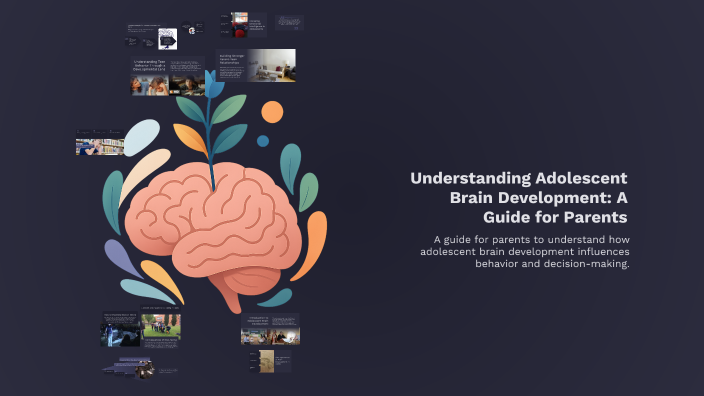 Understanding Adolescent Brain Development: A Guide for Parents by Jay ...