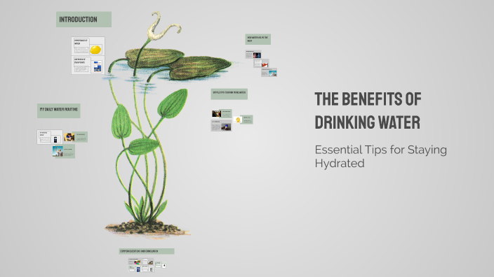 The Benefits of Drinking Water by Moayad Hamdan on Prezi