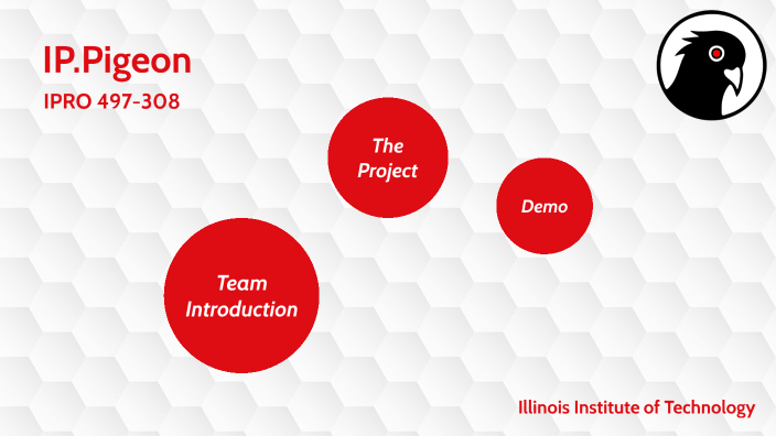 IP.Pigeon by Michael Sherwood on Prezi