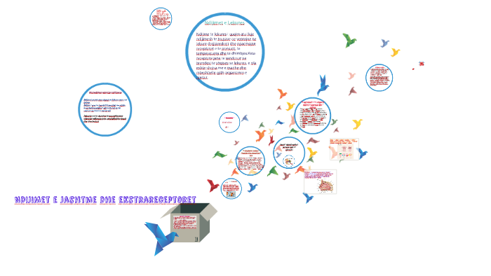 NDIJIMI DHE PERCEPTIMI by Doruntina Bylykbashi on Prezi