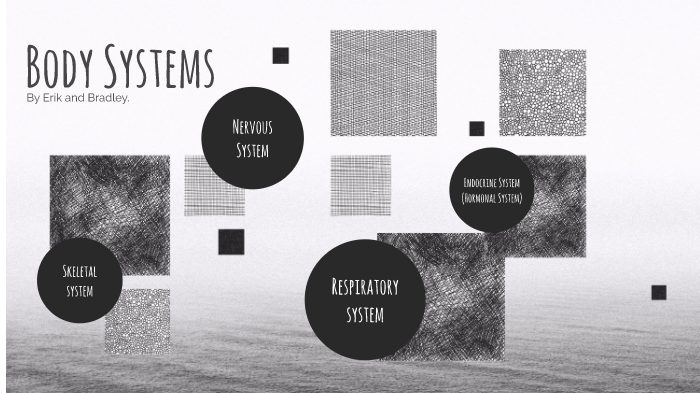 The 4 Body Systems By Erik Mrak