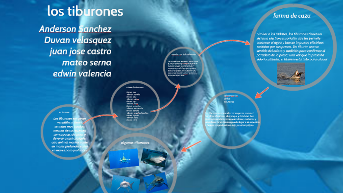 los tiburones by motedugri sansercasvel on Prezi