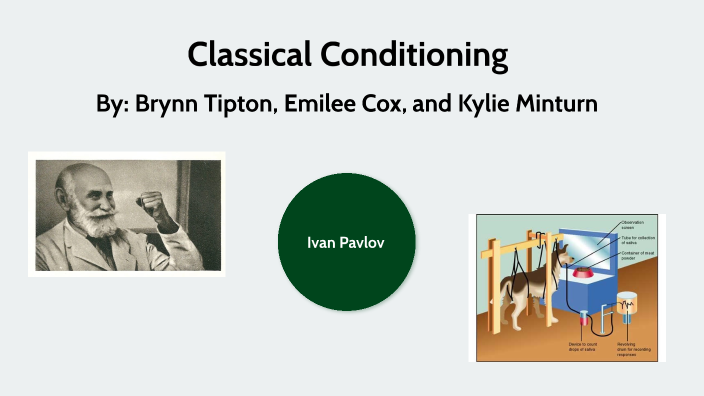 Theorist Project by Emilee Cox on Prezi
