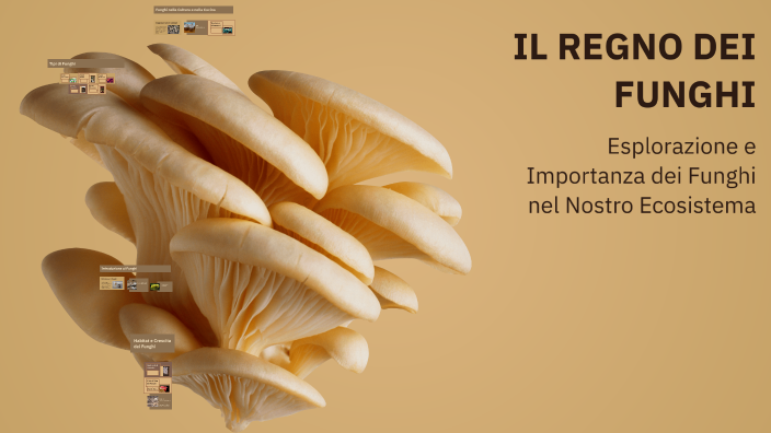 IL REGNO DEI FUNGHI by Marina Bonaccorsi on Prezi
