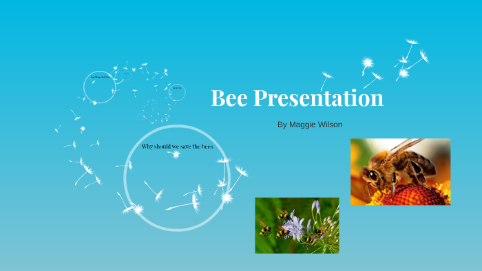Bee Presentation by Maggie Wilson on Prezi