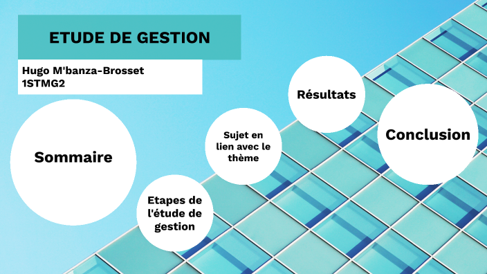 oral de gestion by hugo mbanza on Prezi