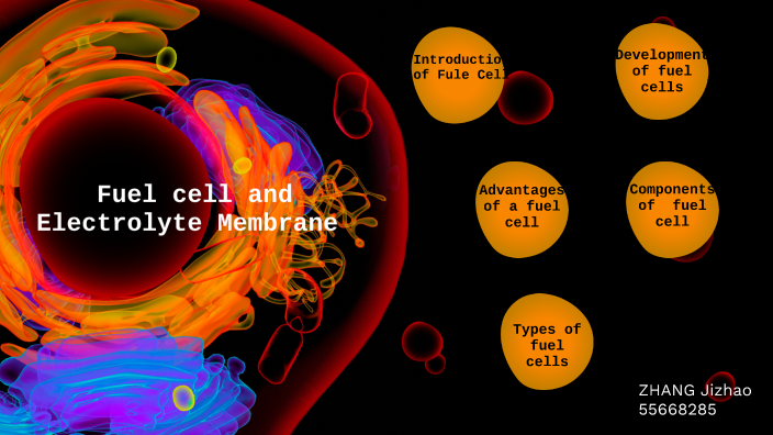 fuel cell and the electrolyte by jizhao zhang on Prezi