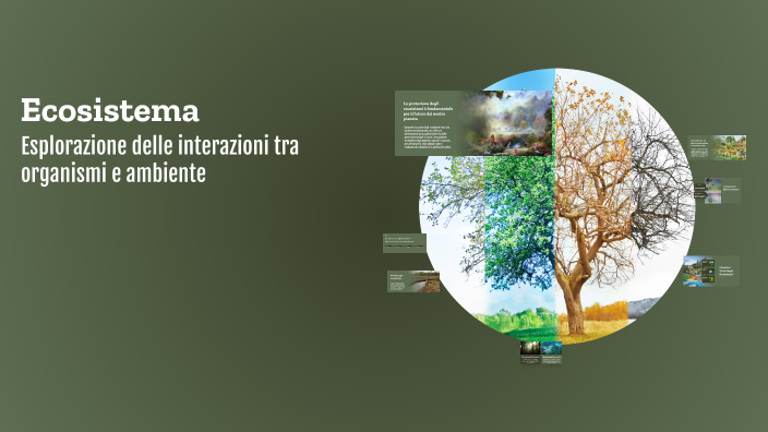 Ecosistema by Anna Rita Amati on Prezi