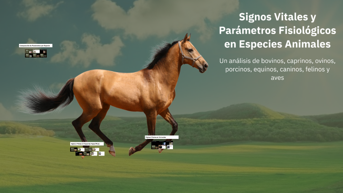 Signos Vitales y Parámetros Fisiológicos en Especies Animales by ...