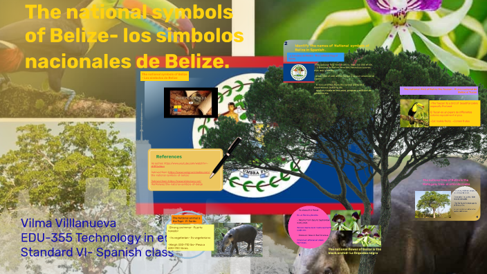 The national symbols of Belize- Los símbols nacionales de Belize. by ...