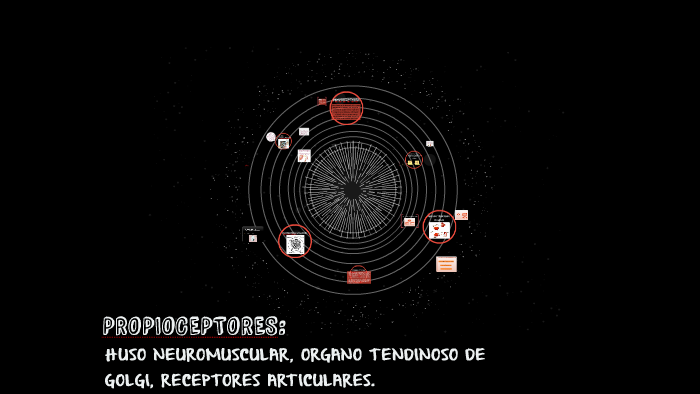 propioceptores: huso neuromuscular, organo tendinoso de golgi y ...