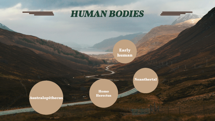 Evolution Of Human Body by Ander Unzueta on Prezi